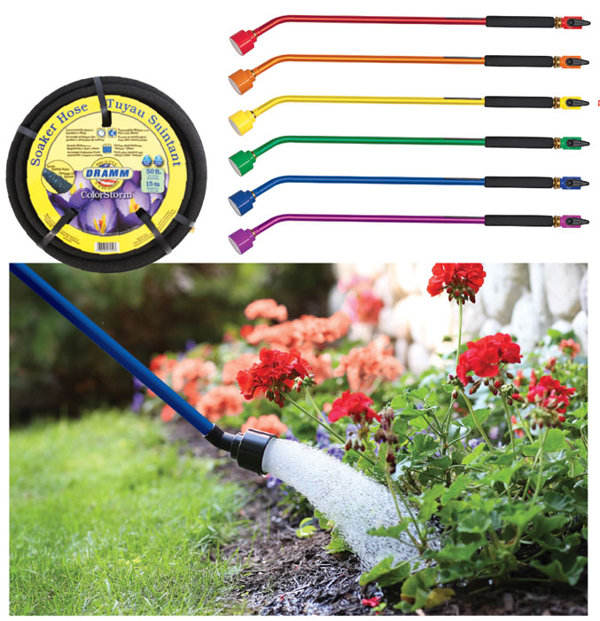 Back to Basics: Watering 101