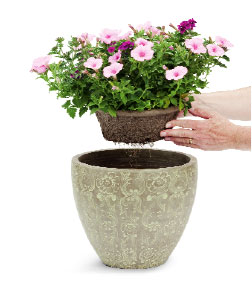 Proven Winners Introduces the 30-Second Planter