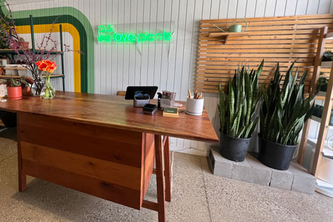 All-Inclusive Plant Parenting