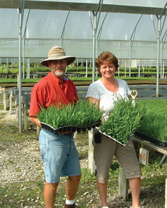 Benefits from Brokers