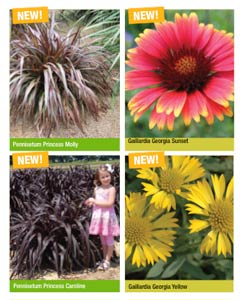 New Varieties from Athens Select